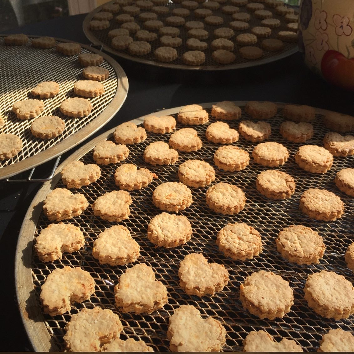 Sherman's Barkery Dog Treats – Pug & Poppy Studio